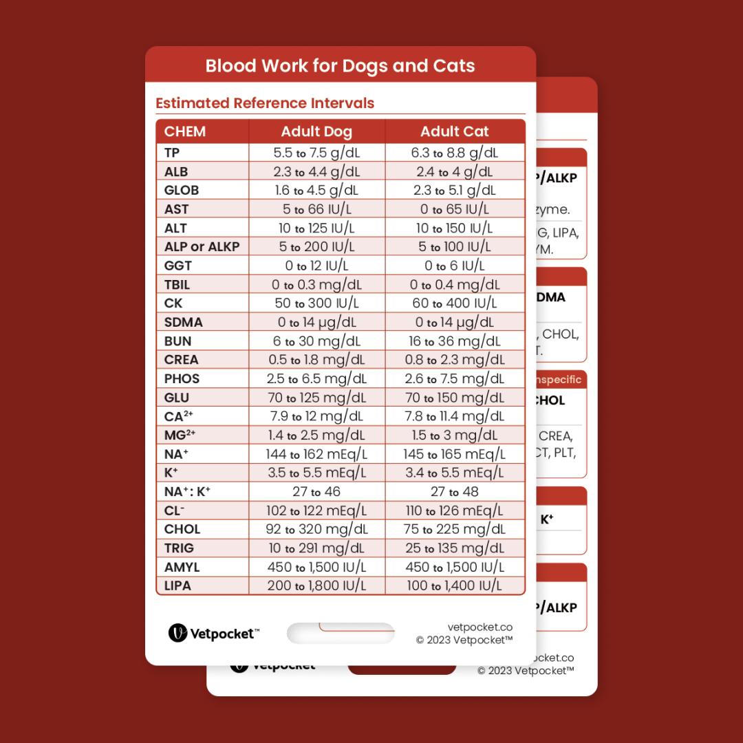 Blood Work for Dogs and Cats (2 cards) – Vetpocket