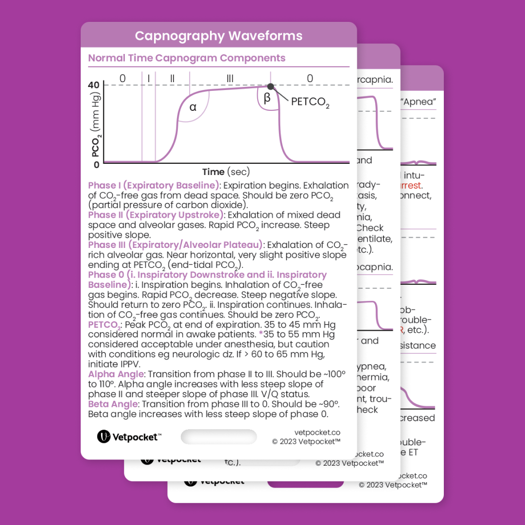 Capnography Waveforms (3 cards) – Vetpocket