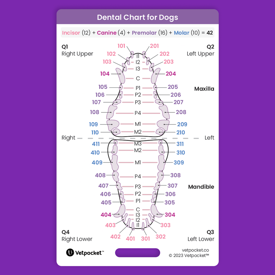 Reference Cards – Vetpocket
