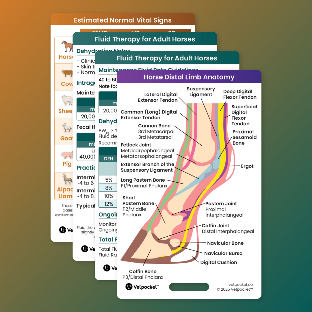 Vetpocket - Large Animal Reference Card Bundle