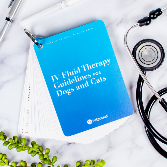 IV Fluid Therapy Guidelines for Dogs and Cats – Vetpocket